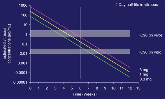 Macugen for Age-Related Macular Degeneration | Ento Key