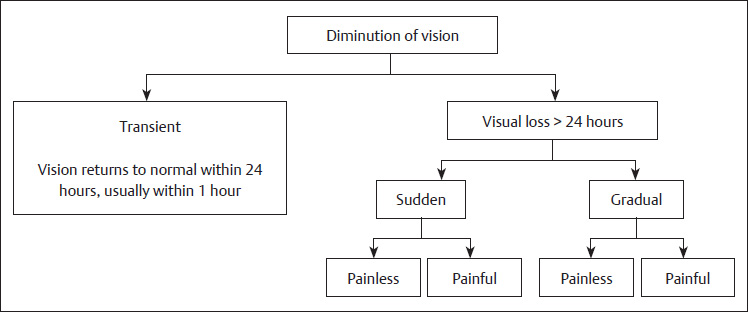 Ocular Symptoms and Examination | Ento Key