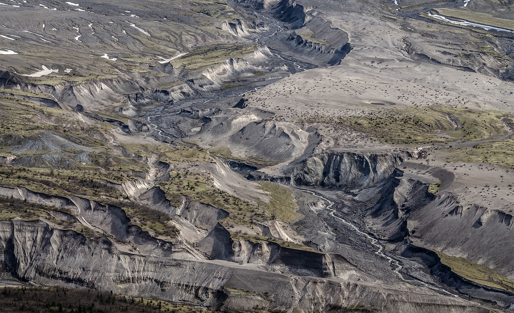 Buried Alive: How Plants Bounce Back from Volcanic Debris – envirobites