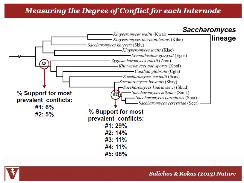 PopGen and Phylogenomics from Antonis Rokas...who is also just a fun-guy! - Evolution and Genomics
