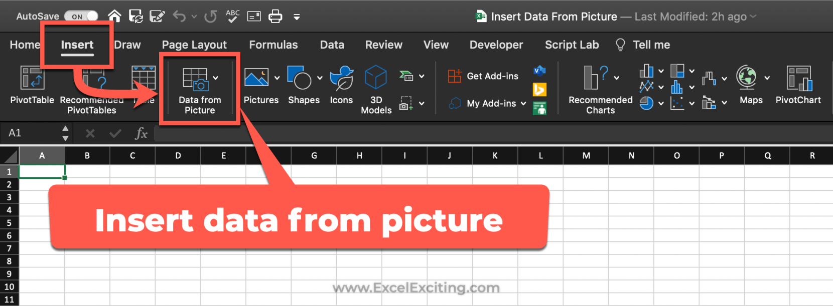 How to Insert Data from Picture? - Excel Exciting