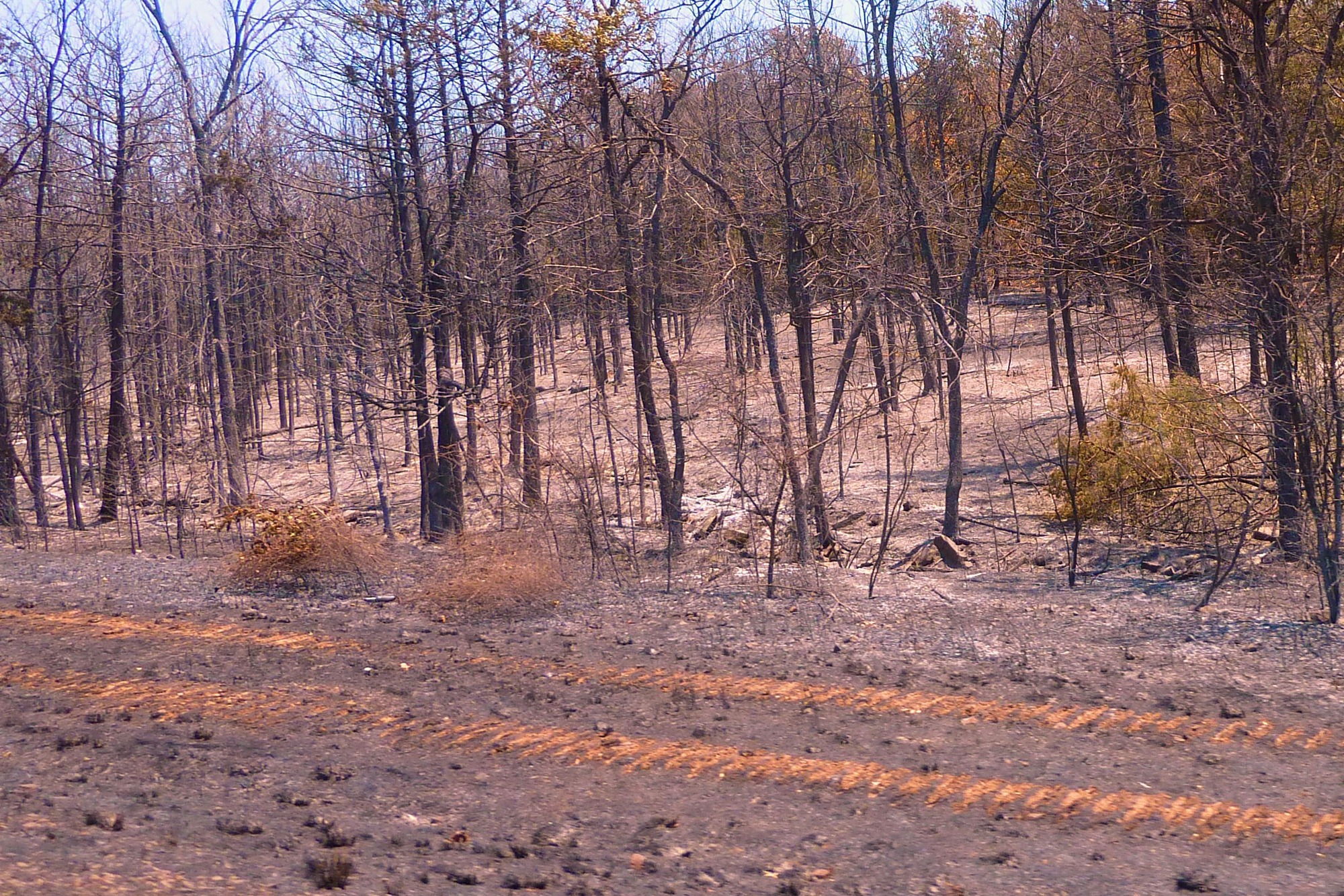 Extreme Drought & Fire Danger.