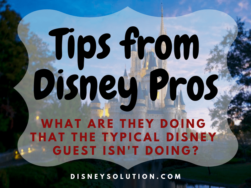 Tips From Disney "Pros" - Making the best of your Trip - Explore With ...