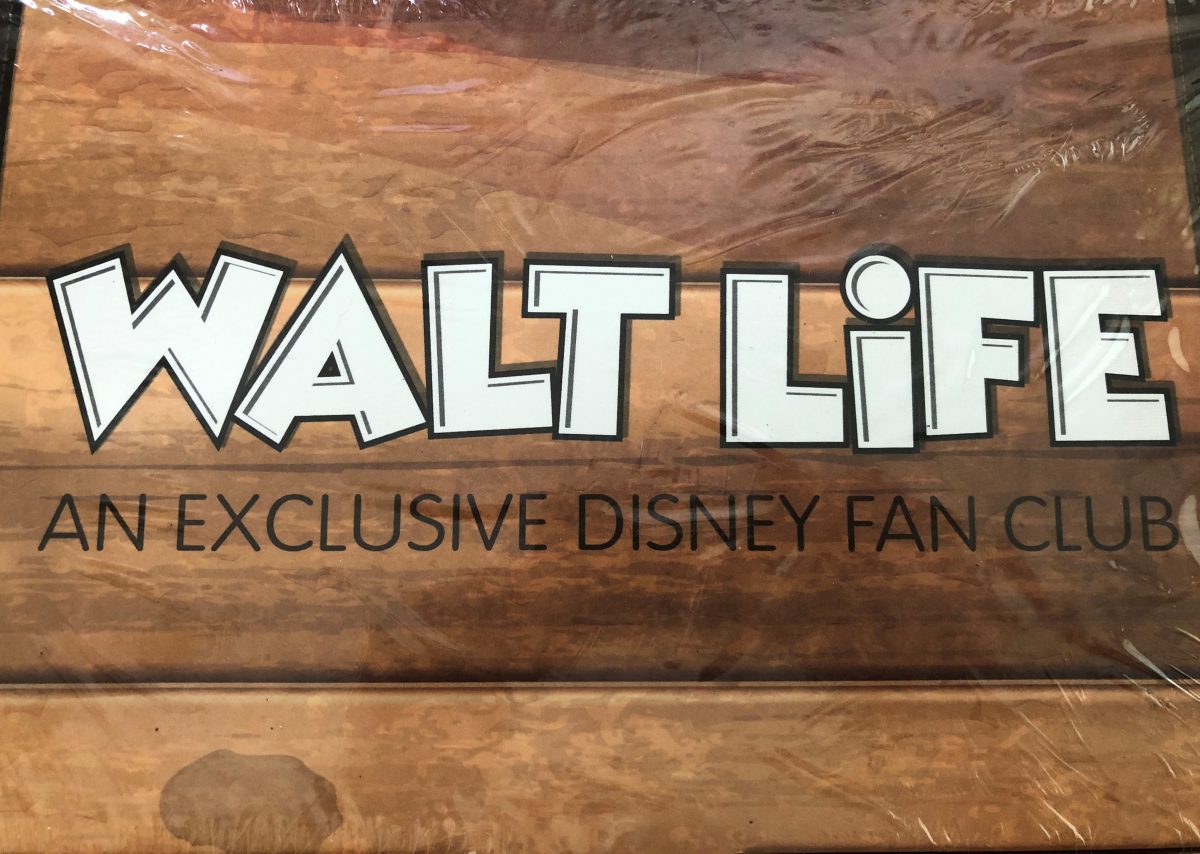 Walt Life Subscription Box - How much is it? And is it worth buying?