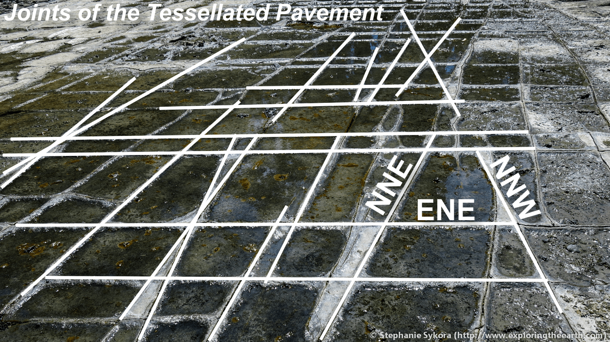 What is the Tessellated Pavement • Exploring the Earth