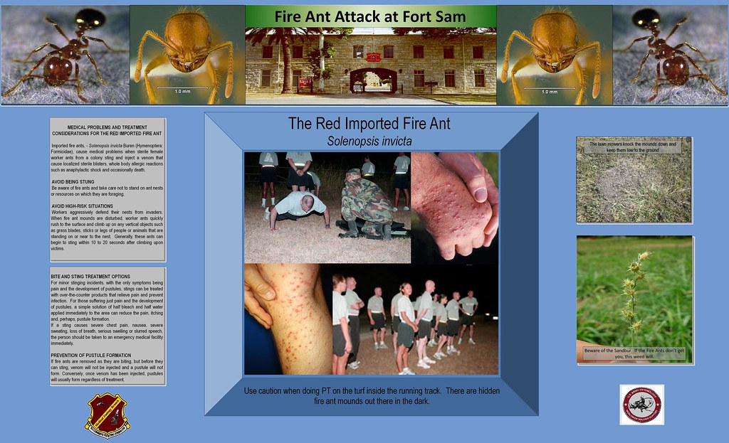 Army 72b – Medical Entomology | Pompilidae