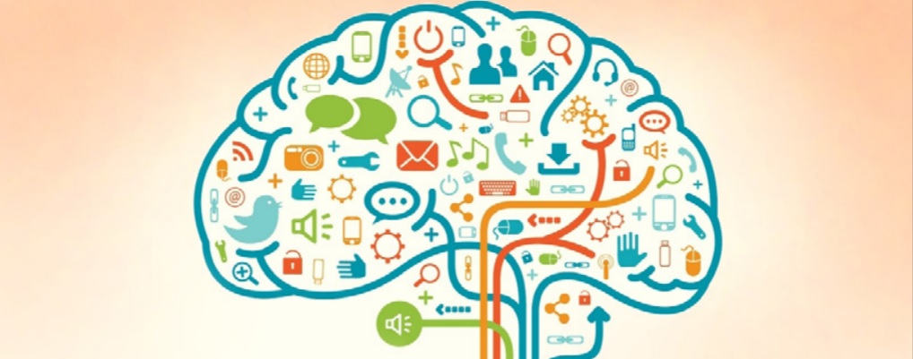 Content Knowledge is the Key to Learning