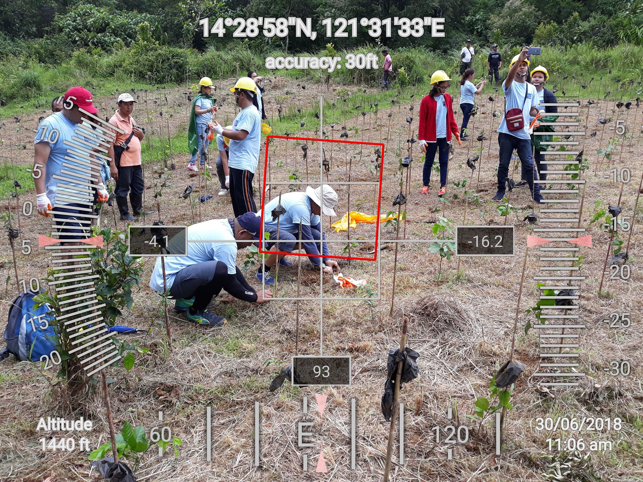 Teradata Cares: Planting 240 Native Trees to Restore Philippine Forests ...