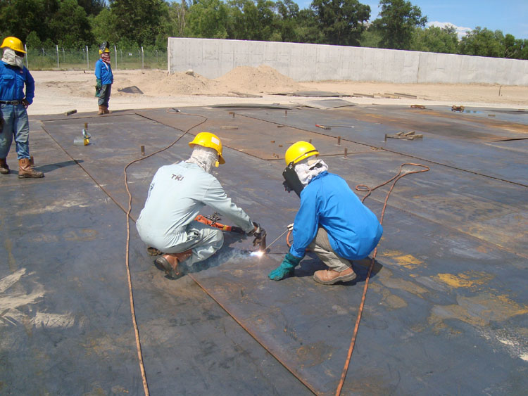 23 | October | 2009 | Aurora