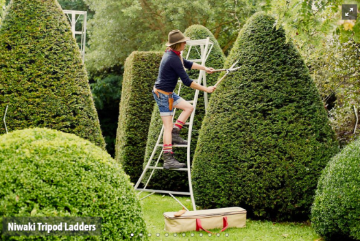 Pyramid Lake Ladders - fiftyflyfish.com