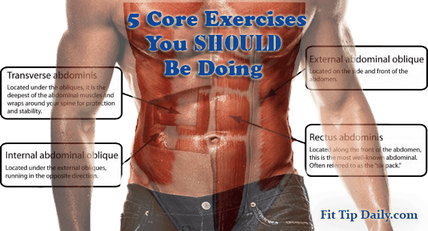 The 5 Core Exercises That You Should Be Doing - Fit Tip Daily