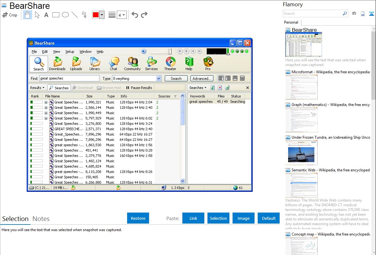 Bearshare Logo - Bearshare Integration With Flamory - Abul Hayward