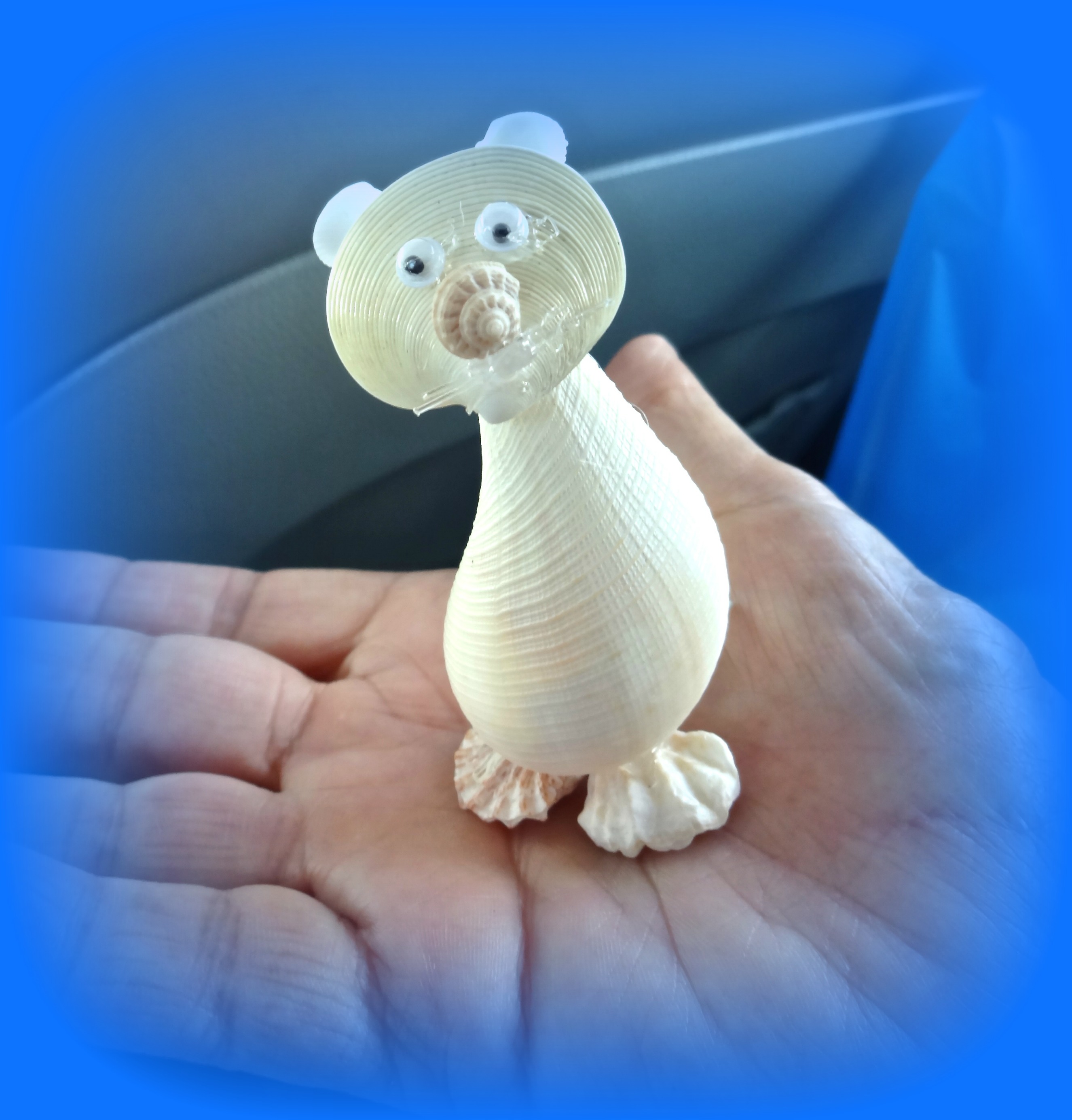 Bailey Matthews Shell Museum Sanibel Island - In Photos | FunAndFork