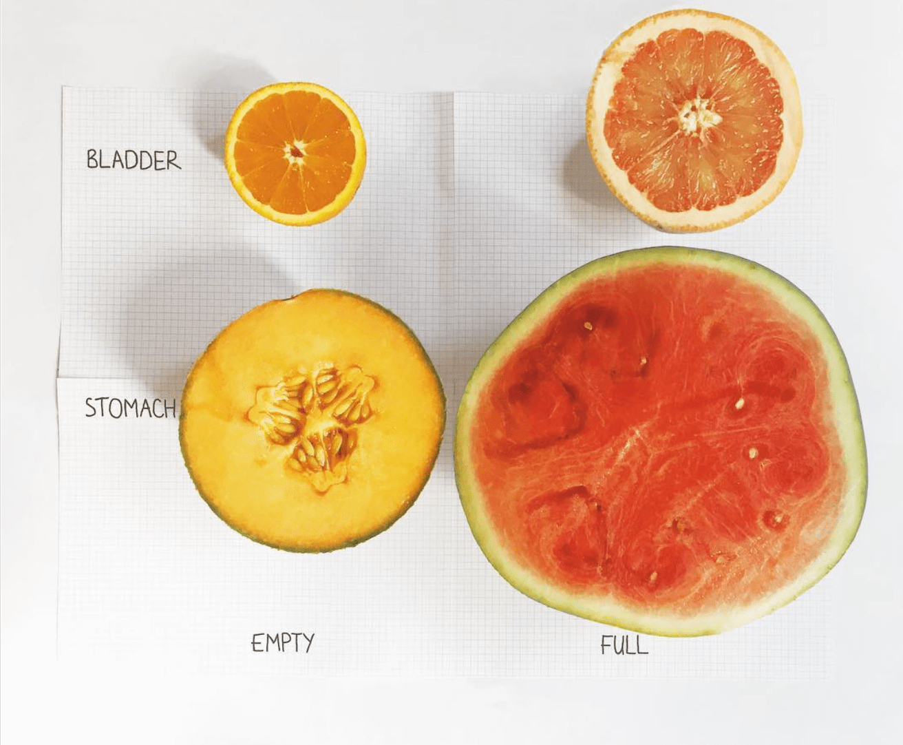 Empty bladder vs. full bladder | FlowingData