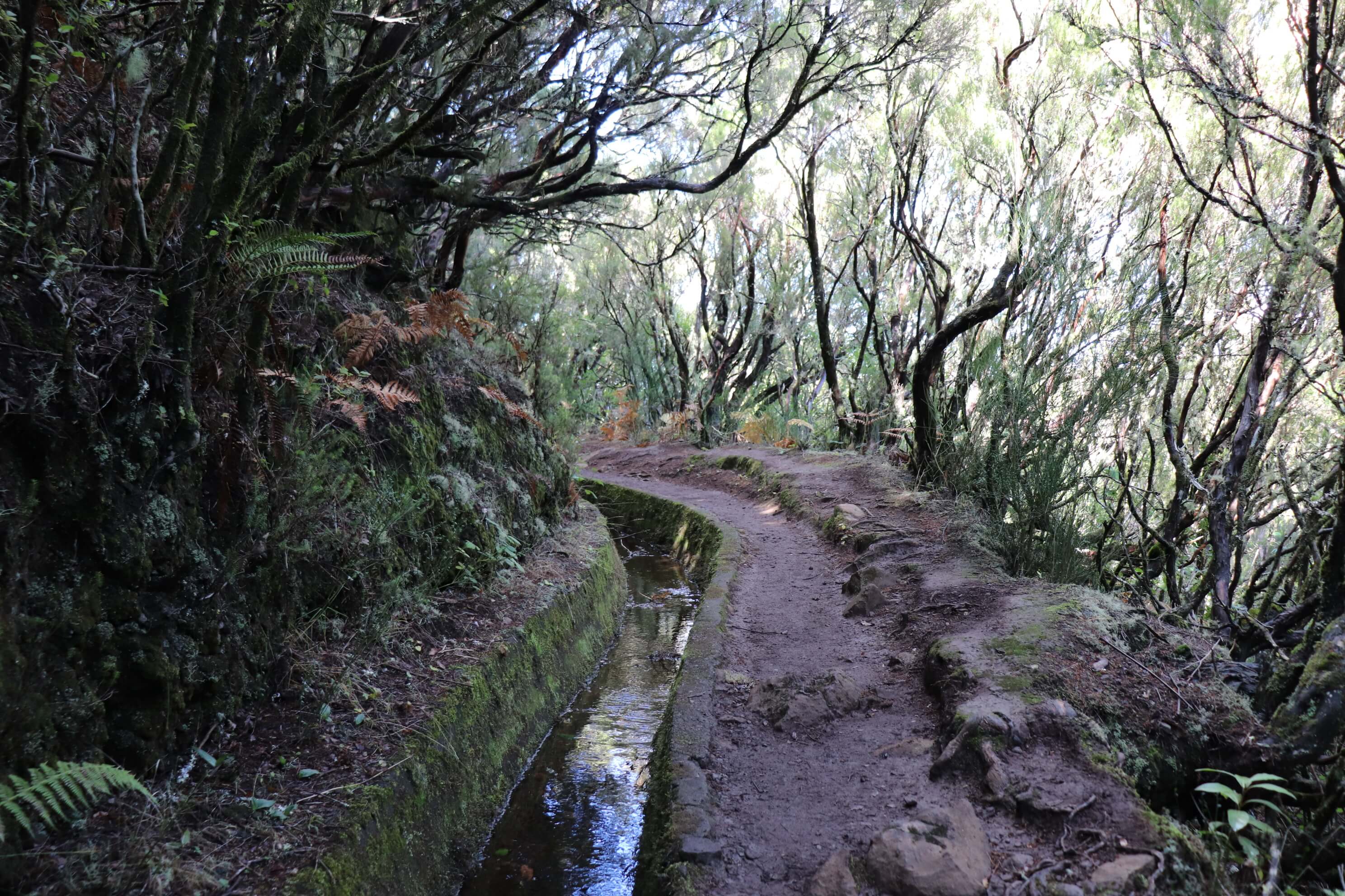 À procura das cascatas do Rabaçal - uma caminhada nas Levadas da ...