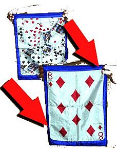 Flash Card Prediction Silk 8D - Funtime Magic