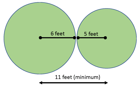 Plant Control to Major Tom(ato): The Art of Spacing Out Your Plants ...