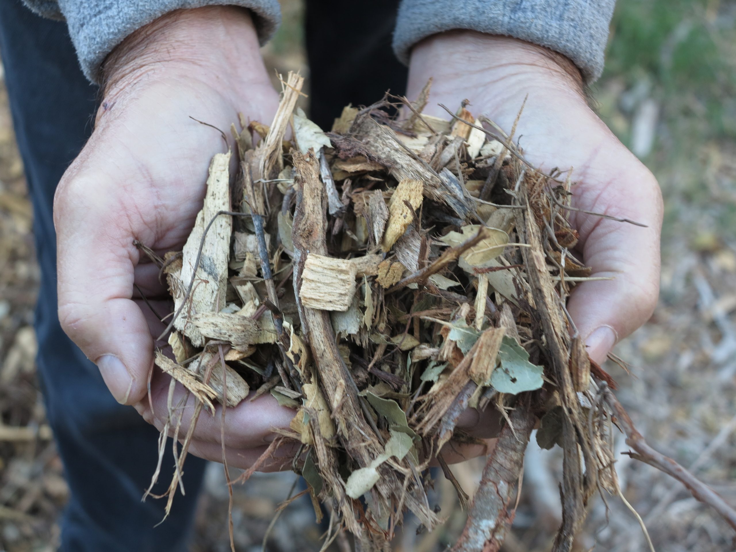 Flammability of Landscape Plants–Why the lists are BAD! – The Garden ...