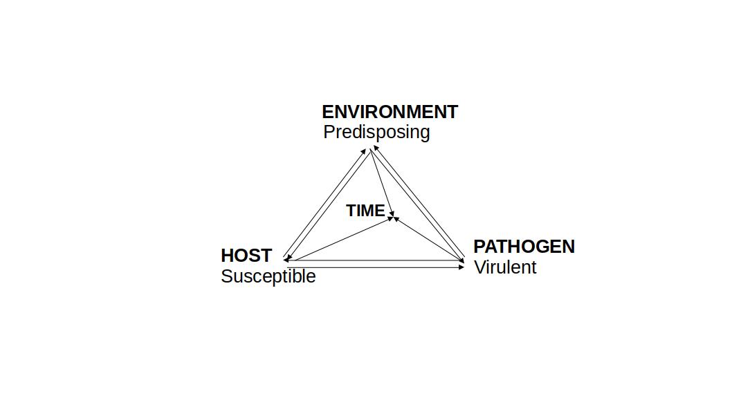 Pests and disease – The Garden Professors™