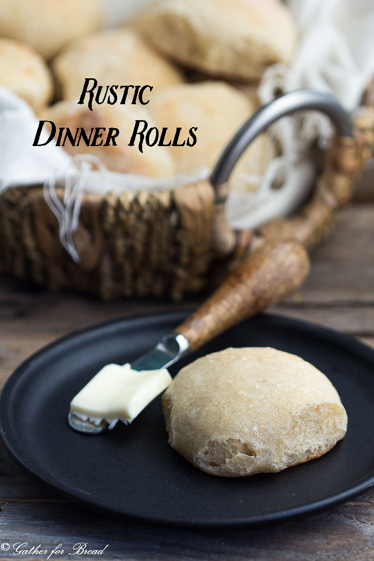 Rustic Dinner Rolls - Gather for Bread