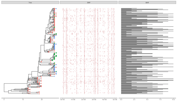 ggtree version of plotTree | R-bloggers