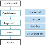 Go Math Grade 5 Answer Key Chapter 11 Geometry and Volume – Go Math ...