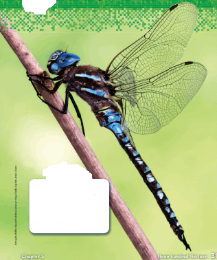 Go Math Grade 2 Chapter 5 Answer Key Pdf 2-Digit Subtraction – Go Math ...