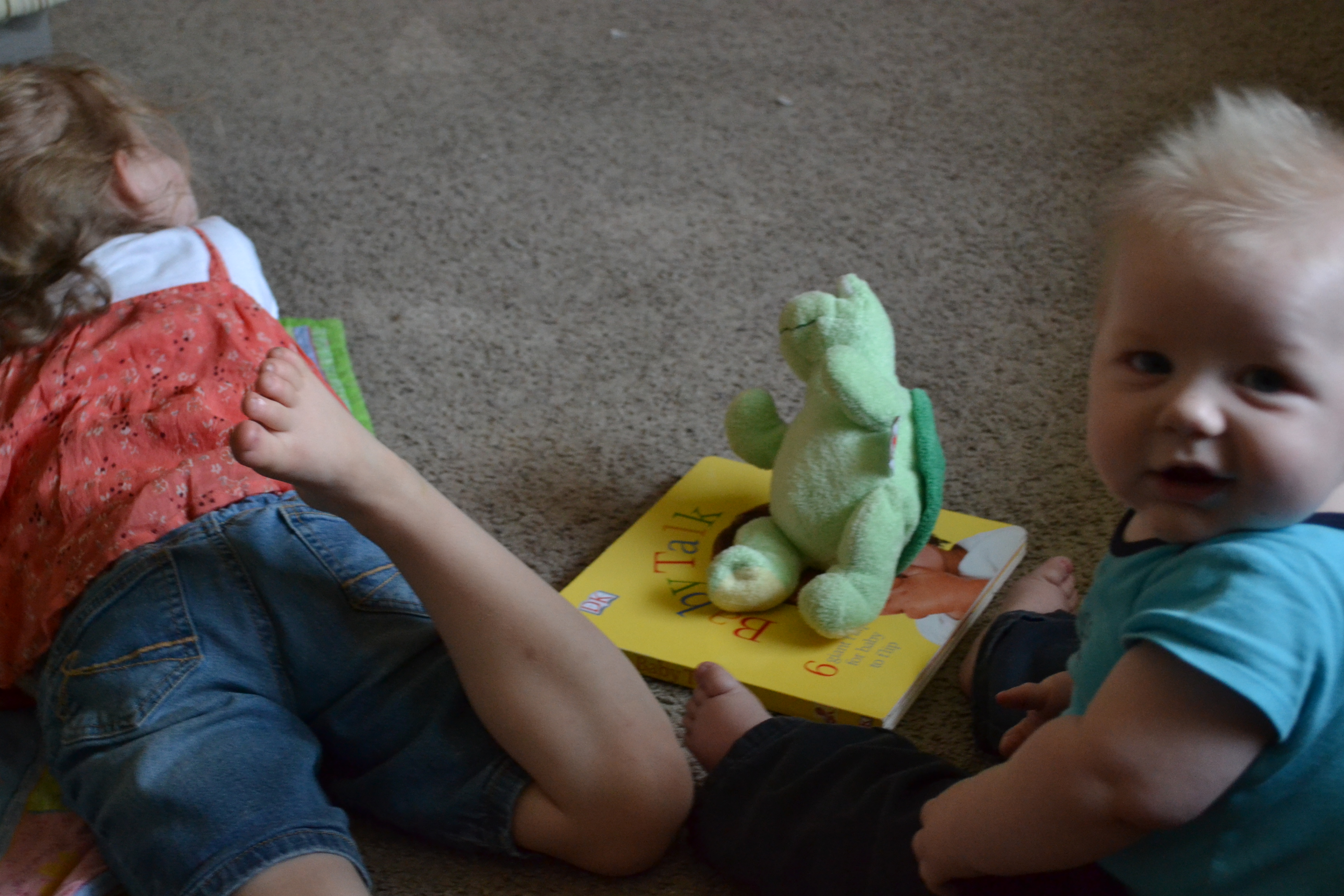 The Toe Biter – Gracious Rain