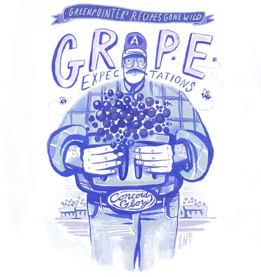 Recipes Gone Wild: Concord Grape Crumb Bars - Greenpointers