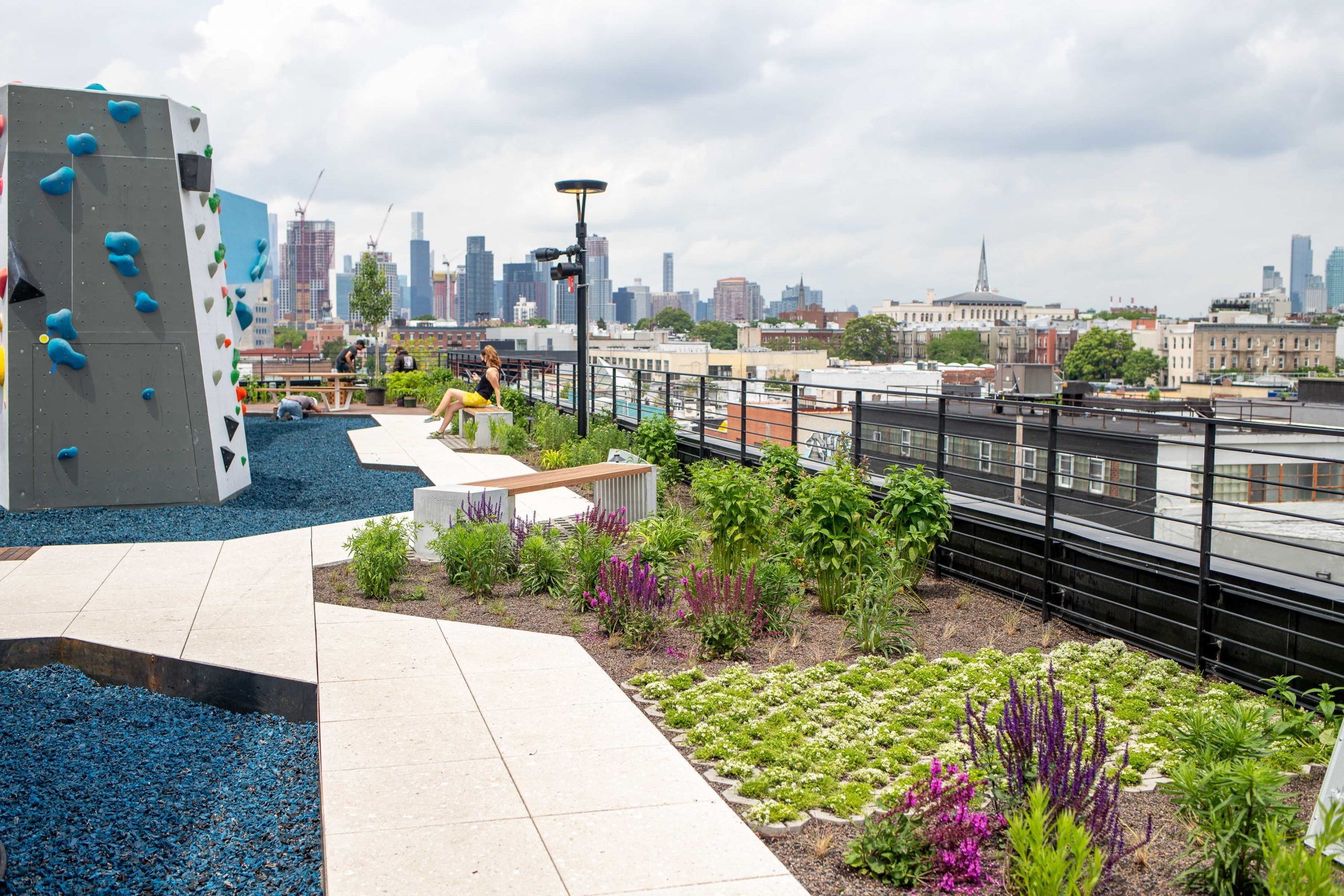 VITAL-2.5 - Greenpointers