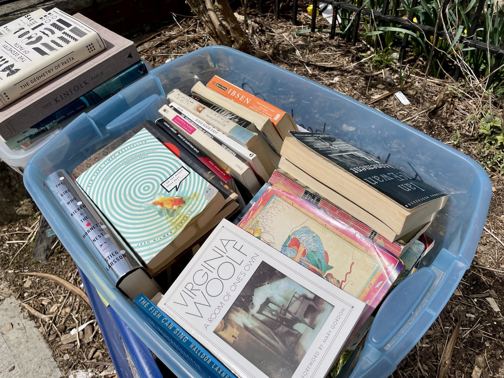 IMG_3019 - Greenpointers