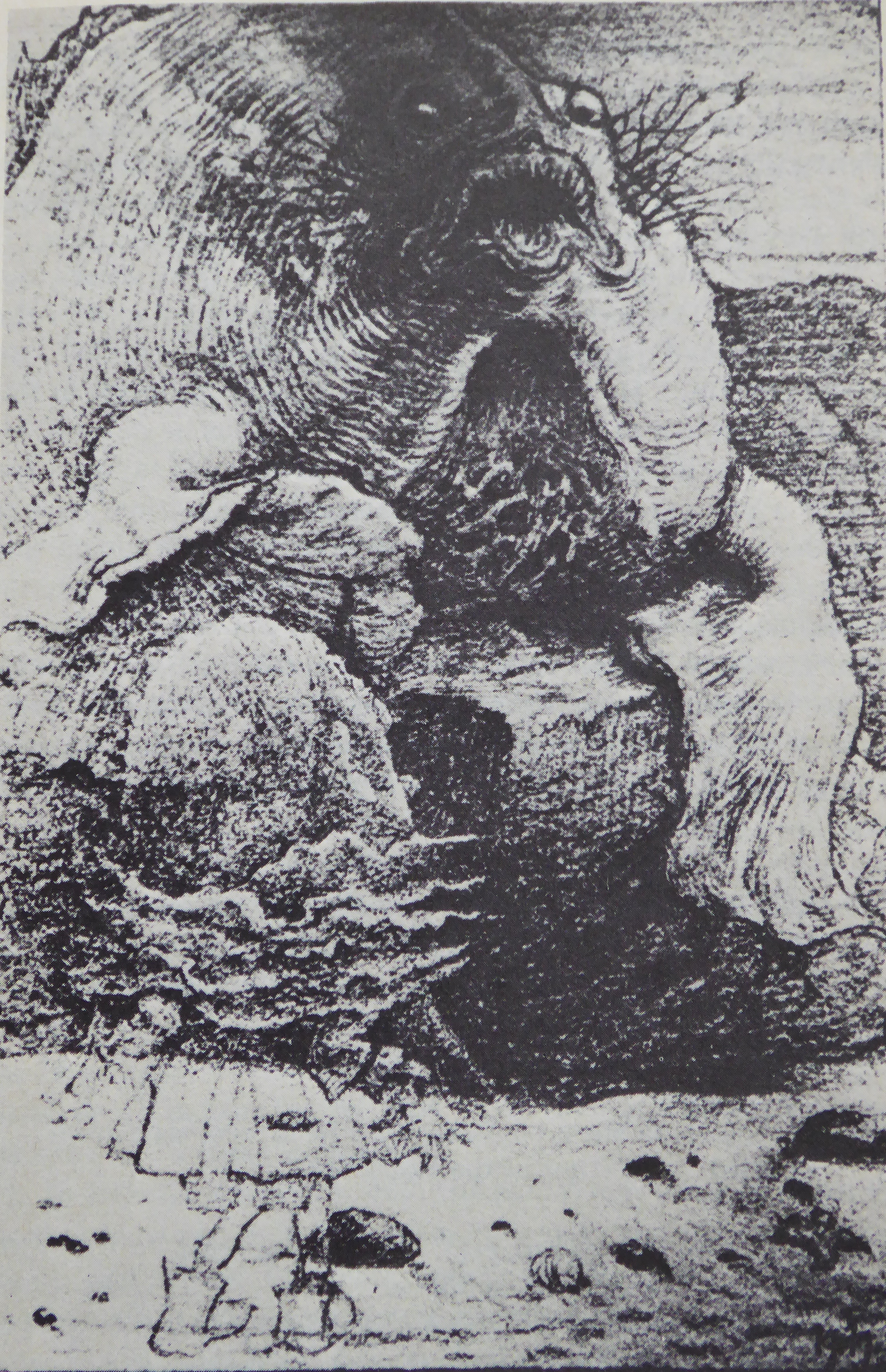 Henry Holiday’s Boojum : gwallter