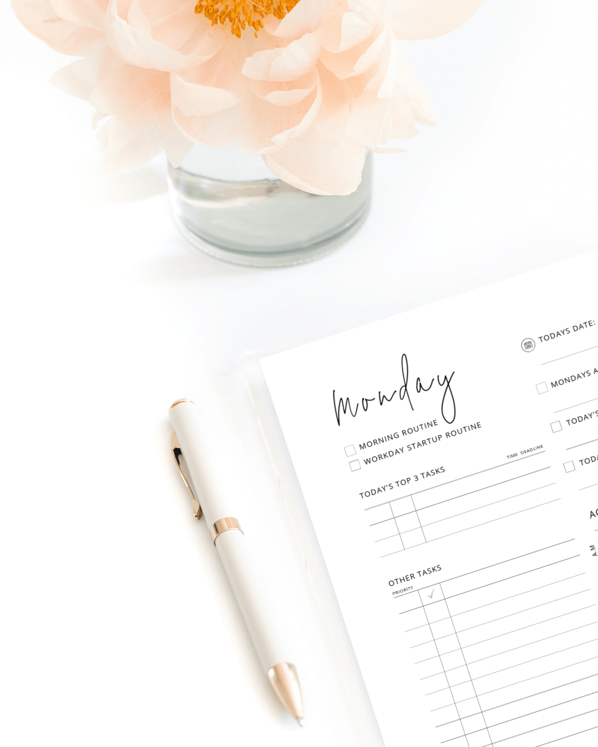 How to Plan a Productive Day in 8 Steps | Productivity Tips w/ Planner ...