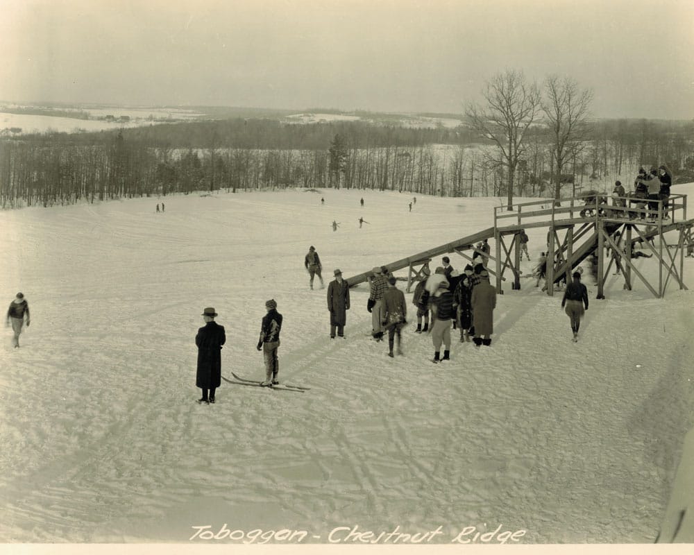 Chestnut Ridge Park - Hello Buffalo!