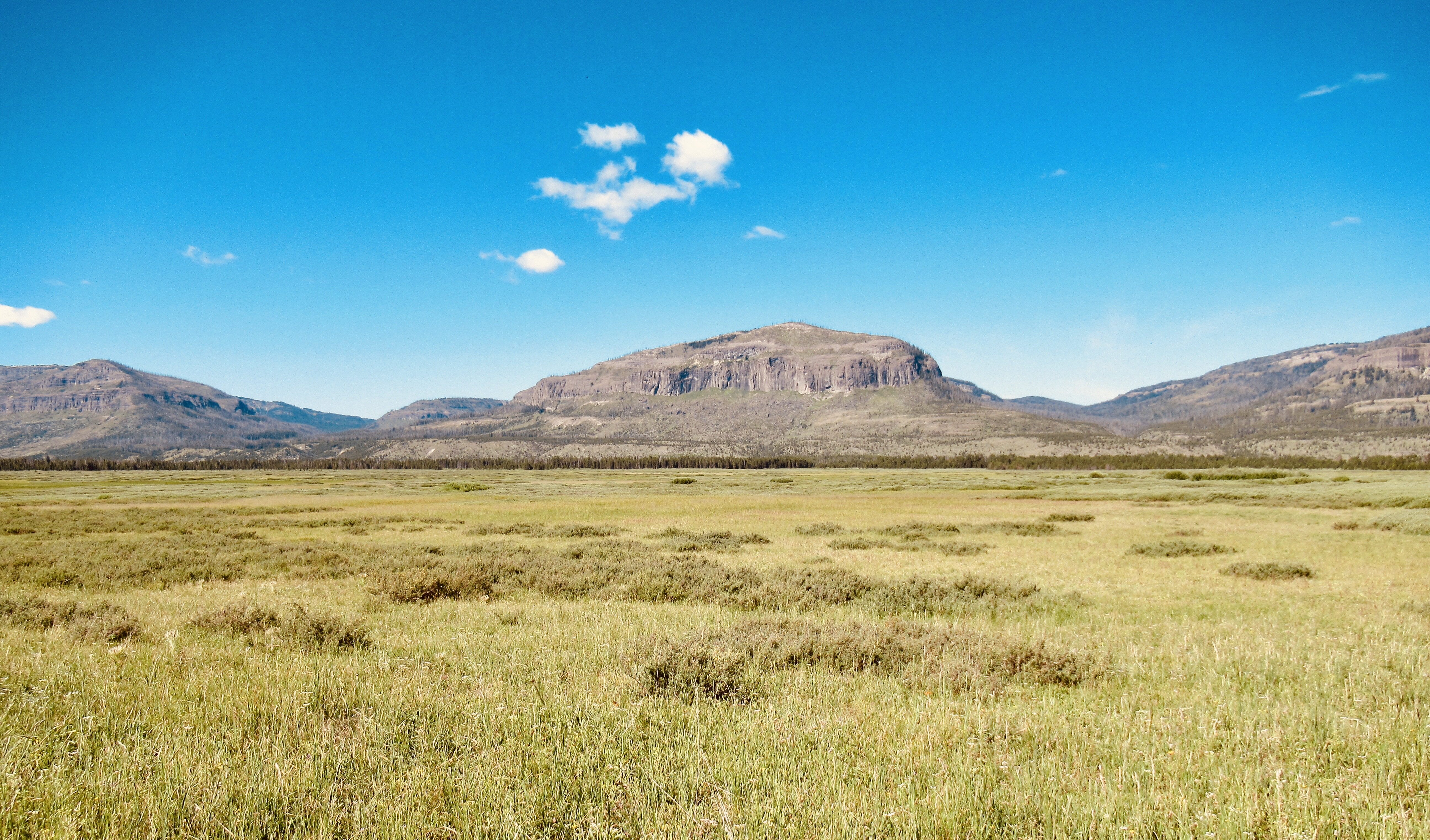 Yellowstone Thorofare – Hiker Ph.D.