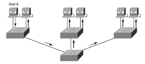 Why we need VLANs, an Introduction to VLAN technology