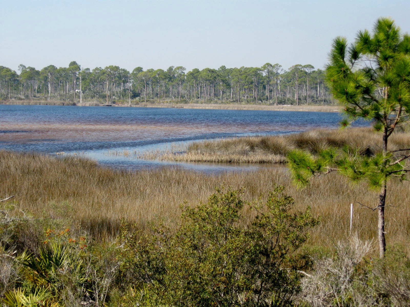 Big Lagoon State Park | Three Modern Nomads