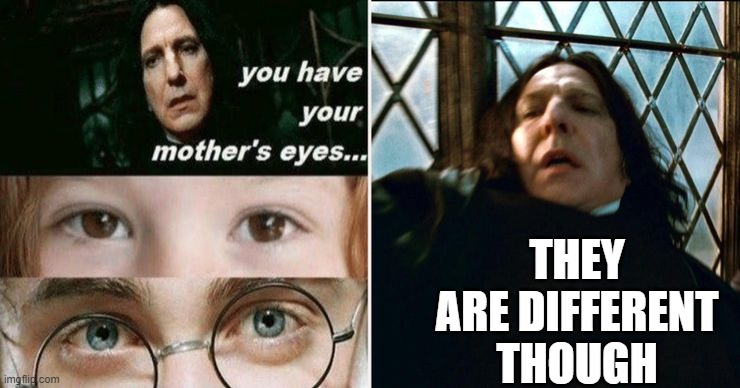7+ Harry Potter Meme Mother's Eyes