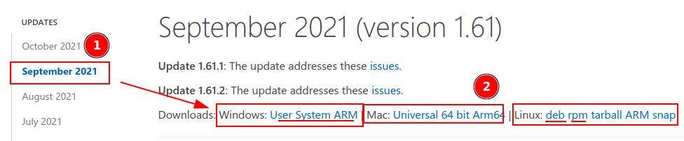 来自 Visual Studio Code 的 Git 推送：”没有匿名写访问权限。身份验证失败” | 码农参考
