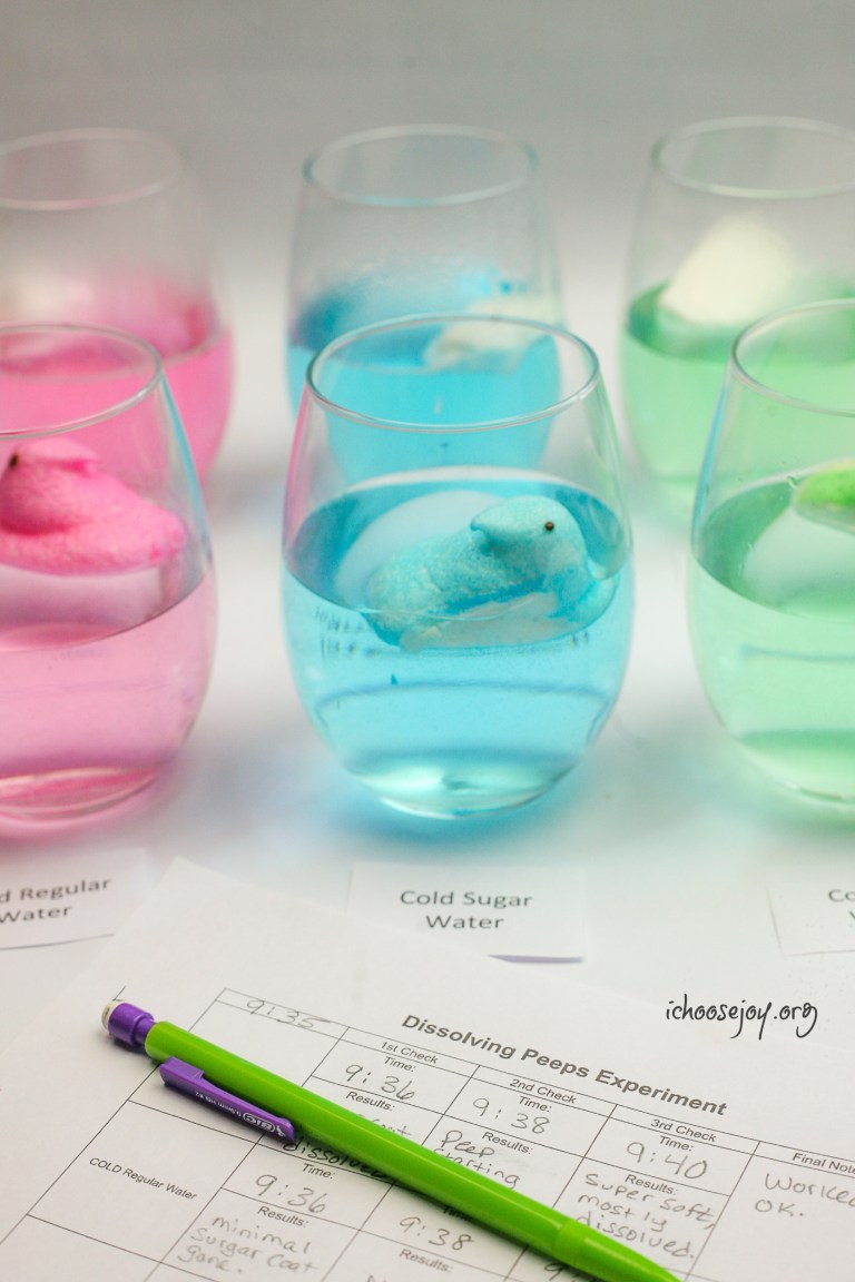 Dissolving Peeps Experiment: STEM Activity for Eastertime - I Choose Joy!