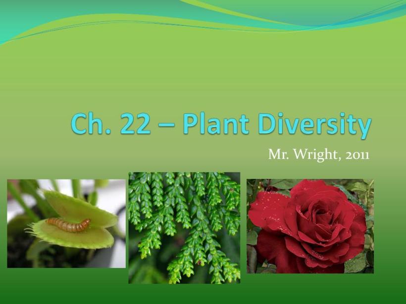 22 4 Flowering Plants Worksheet Free Download Gmbar co 22-4-flowering-plants-worksheet-free-download-gmbar-co