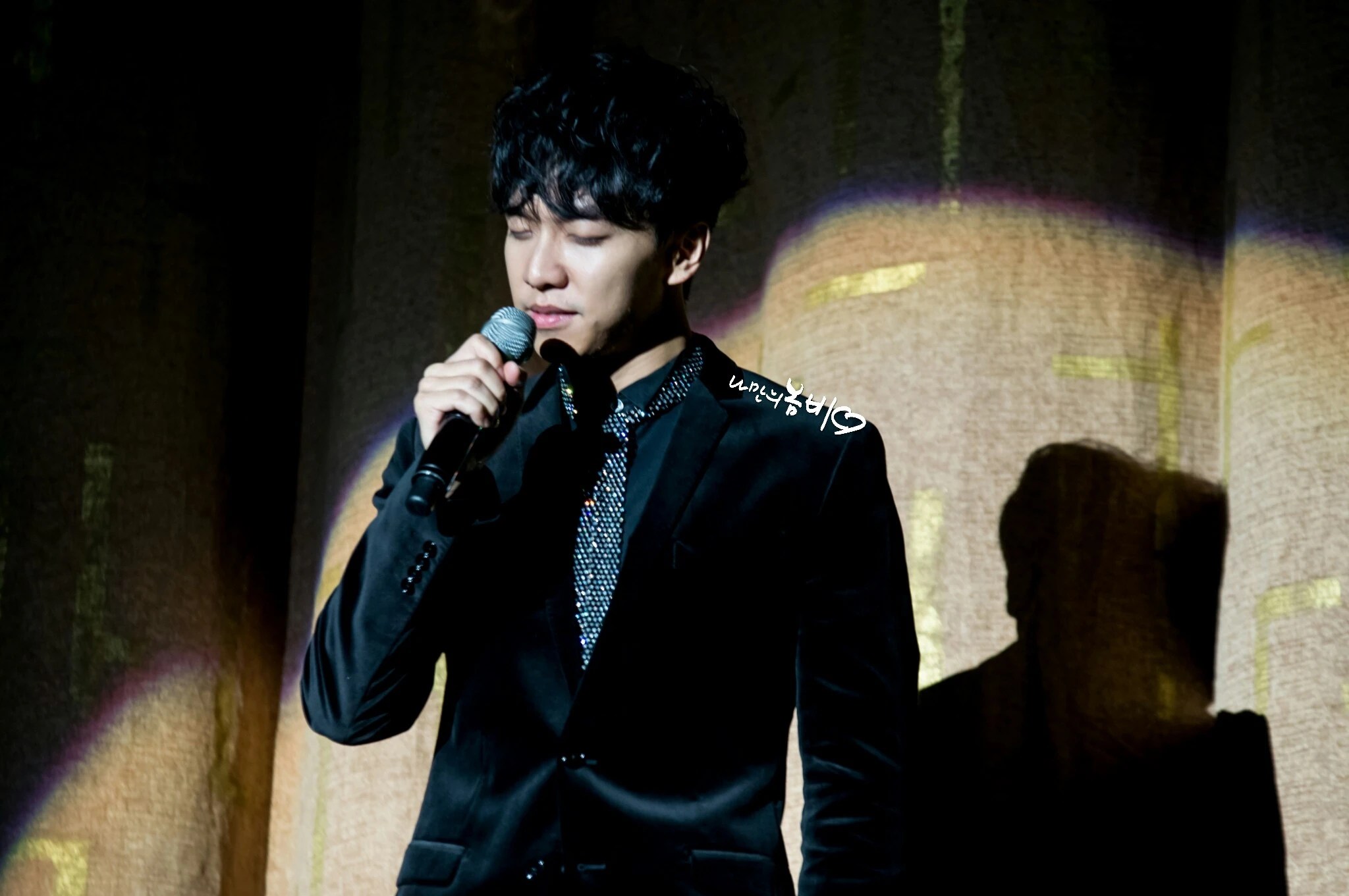 14.11.16 Lee Sun Hee Concert Fanpics 6 – Lee Seung Gi | Everything Lee ...