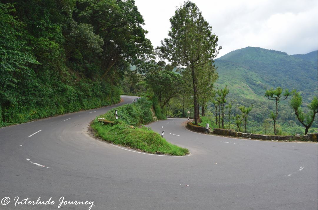 15 Unique Experiences to Indulge in the Charm of Wayanad - Interlude ...
