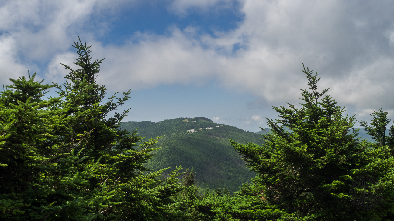Meanderthals | Mt. Mitchell State Park Trail System