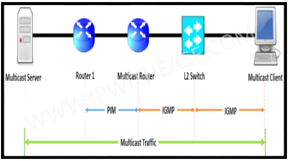 IGMP (Internet Group Management Protocol)-Basics Guide - IP With Ease