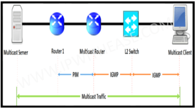 IGMP (Internet Group Management Protocol)-Basics Guide - IP With Ease