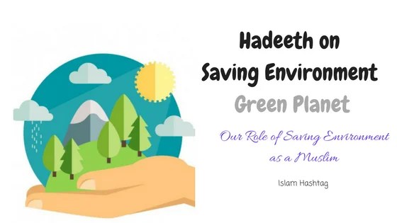 Are we responsible for the World we live in ? Some Hadeeth on Saving ...