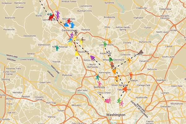 Paratransit - IT Curves