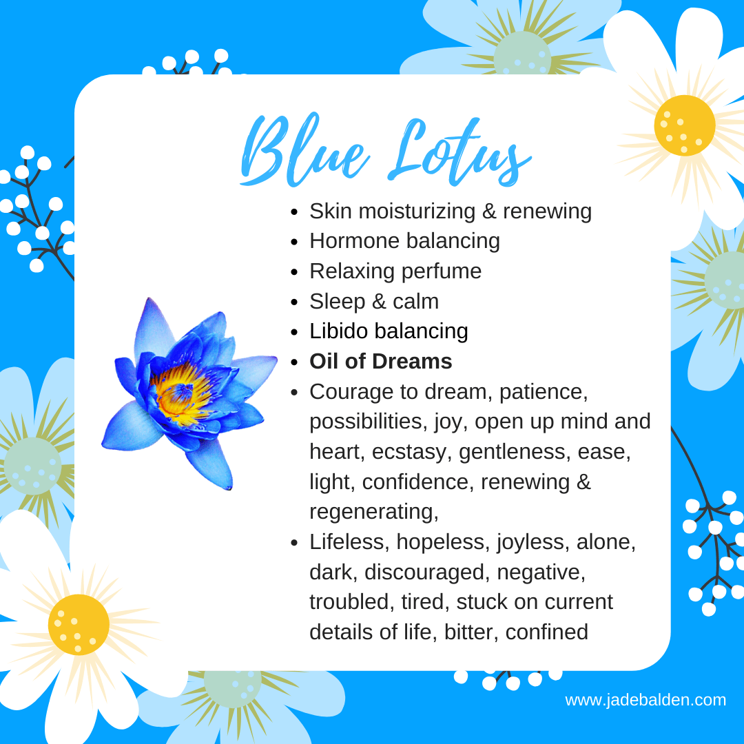 Blue Lotus | Jade Balden
