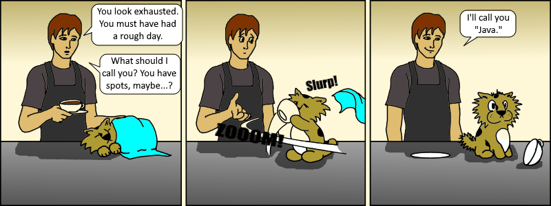 Java 002 - Java Jaguar